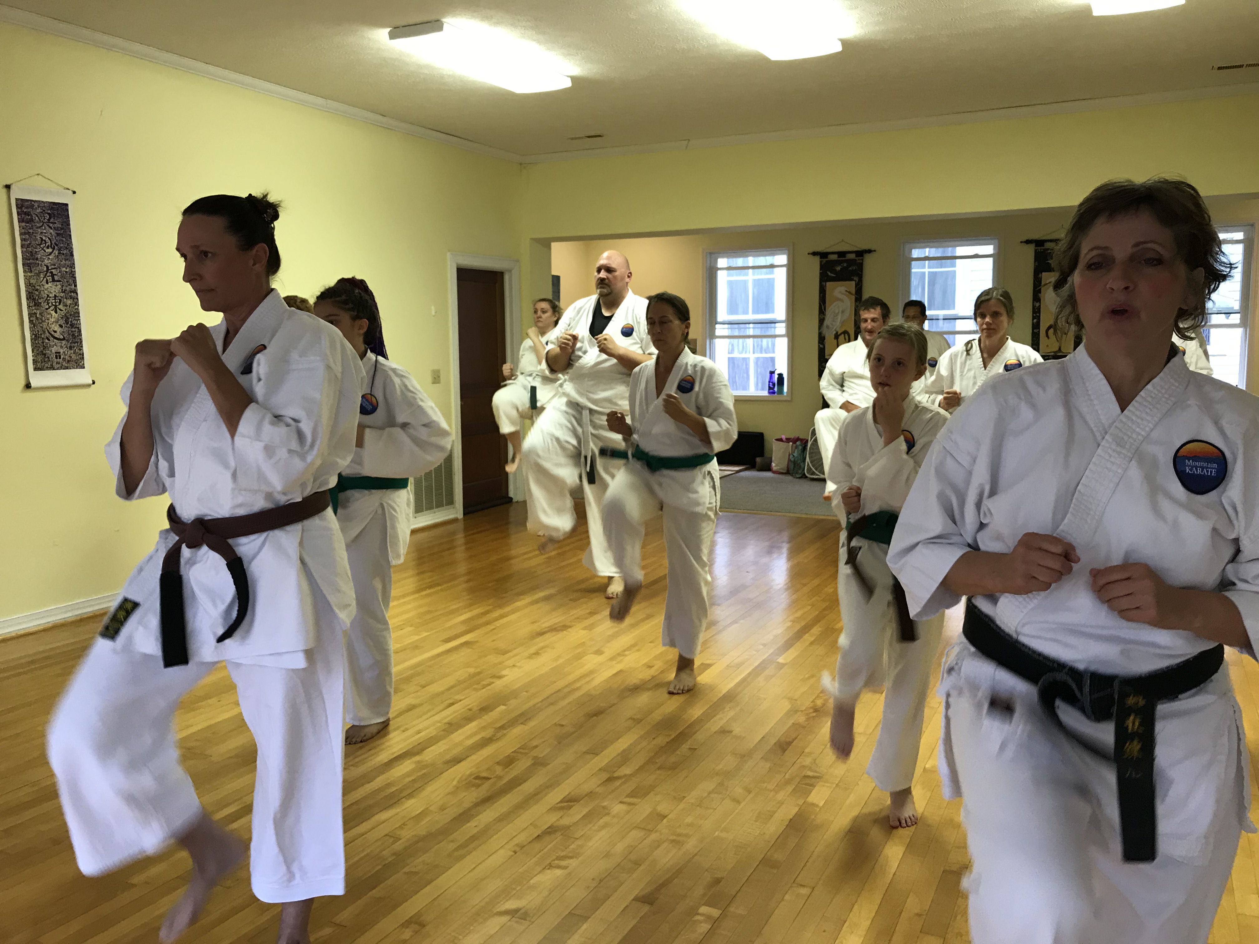 Fourth Annual Summer Seminar - Mountain Karate