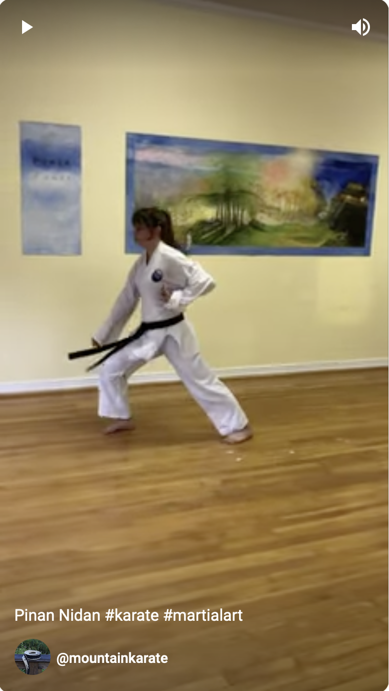 Kata Demo - Pinan Nidan - Mountain Karate - Hendersonville-Columbus area