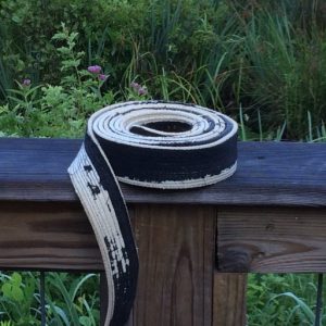 Mountain Karate Dojo: Traditional martial arts in the Saluda ...