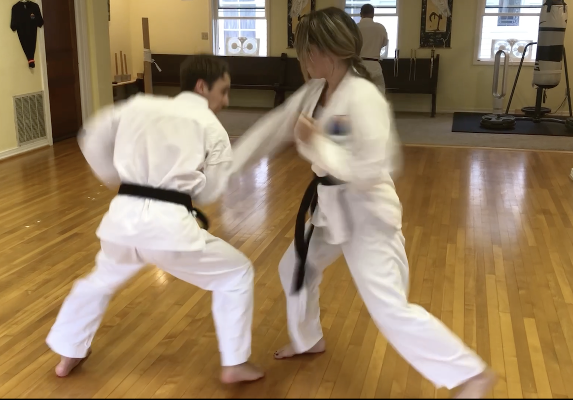 Yakusoku San - Mountain Karate - Hendersonville-Columbus area