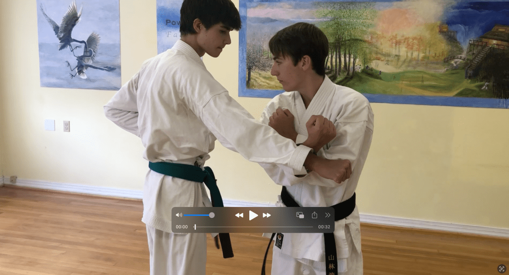 Chudan Uke Critical Points - Mountain Karate - Hendersonville-Columbus area