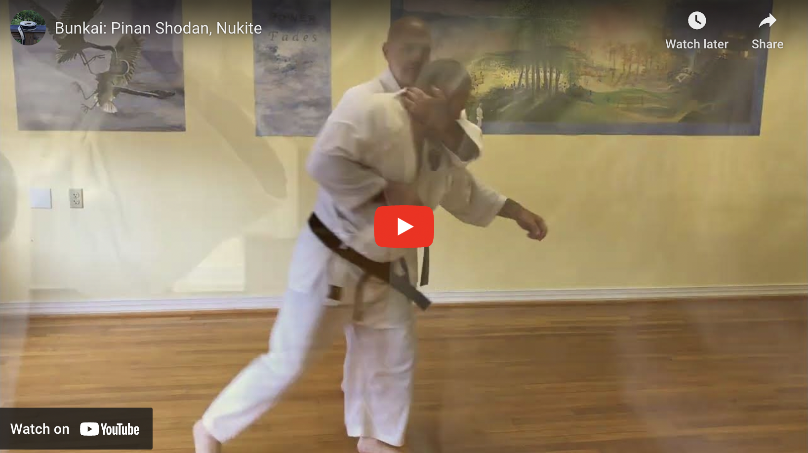 Bunkai: Pinan Shodan Nukite - Mountain Karate