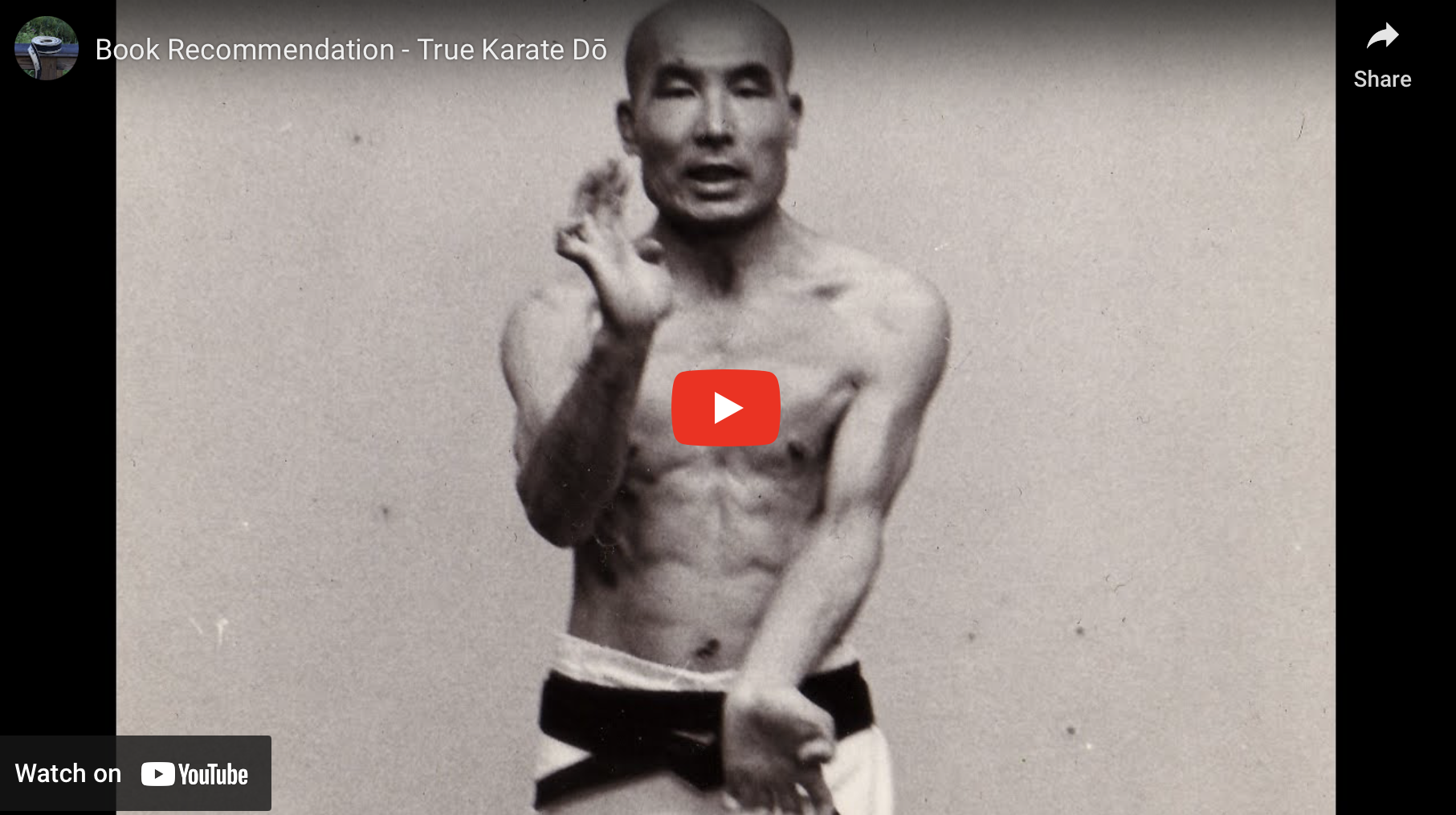 Book Recommendation - True Karate Dō - Mountain Karate