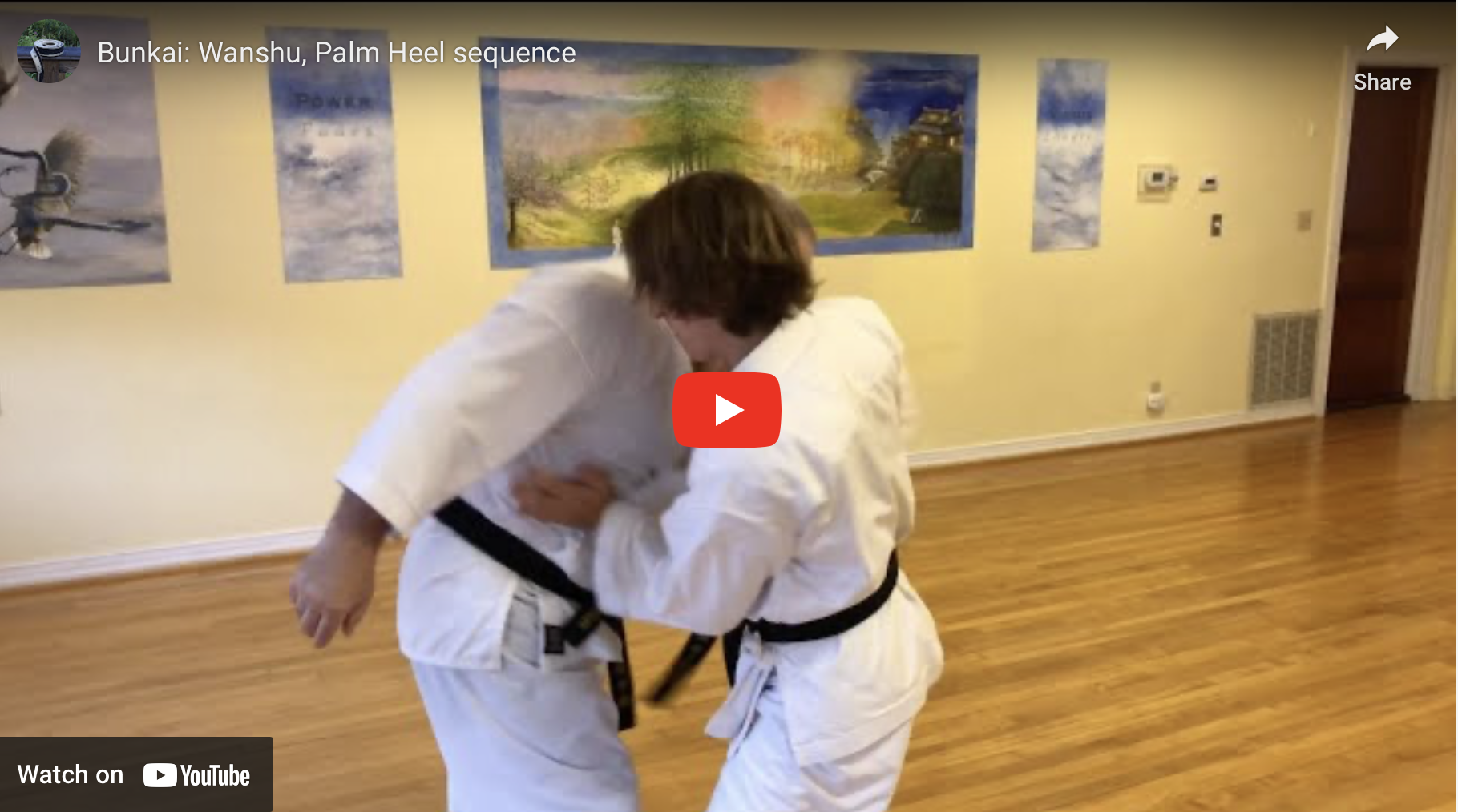 Bunkai: Wanshu, Palm Strike sequence - Mountain Karate